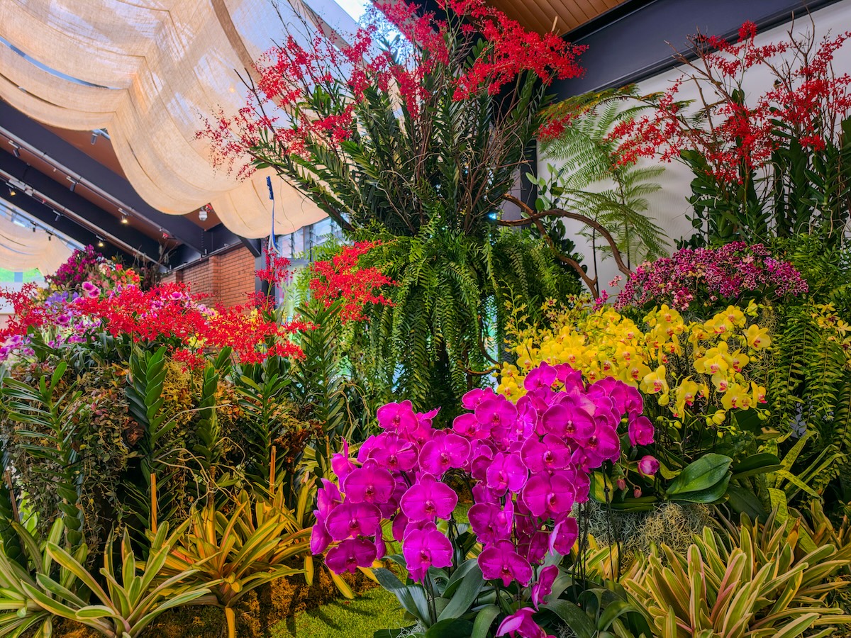 BUNGA 2026 Marks New Chapter in Resorts World Genting’s Nature Tourism ...
